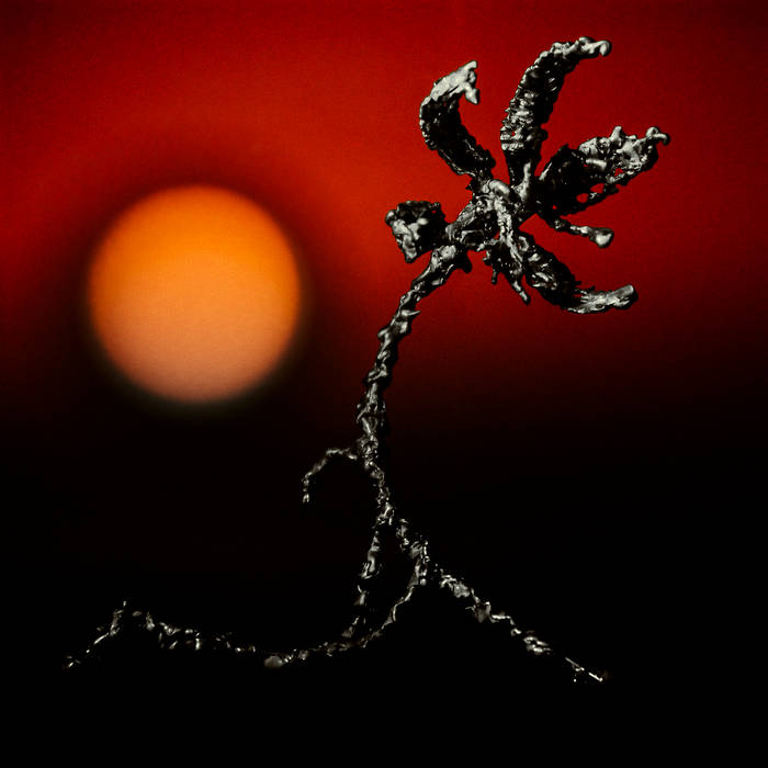 Nze Nze - Adzi Akal - 2022 - Metrodora