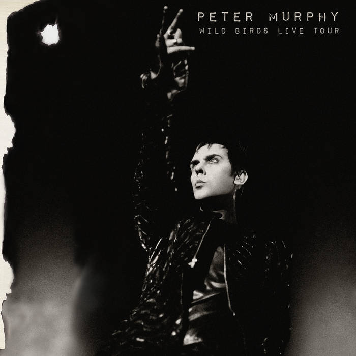 Live from the past vol.154: Peter Murphy - Wild birds live tour - Metrodora