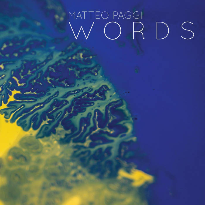 Matteo Paggi - W o r d s - 2024 - Metrodora