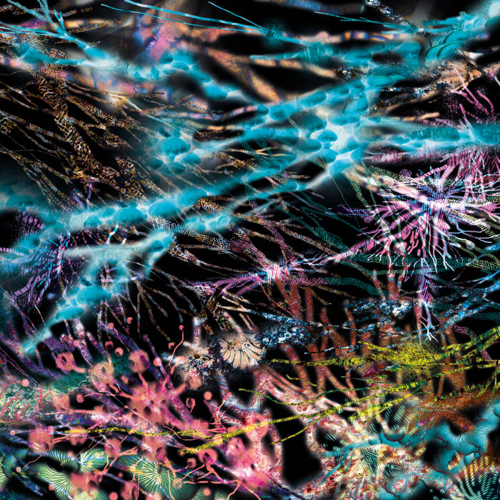 Likwid Continual Space Motion - The remedy - 2024 - Metrodora