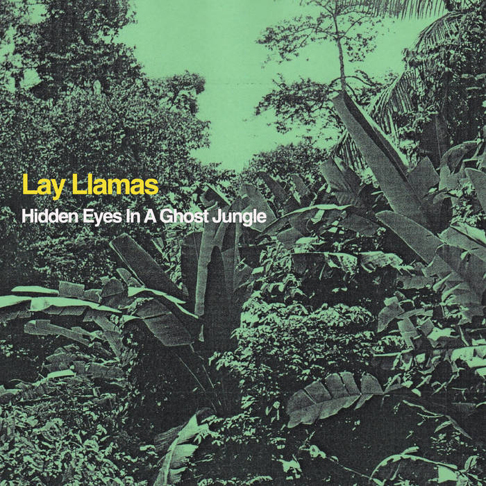 Lay Llamas - Hidden eyes in a ghost jungle - 2025 - Metrodora
